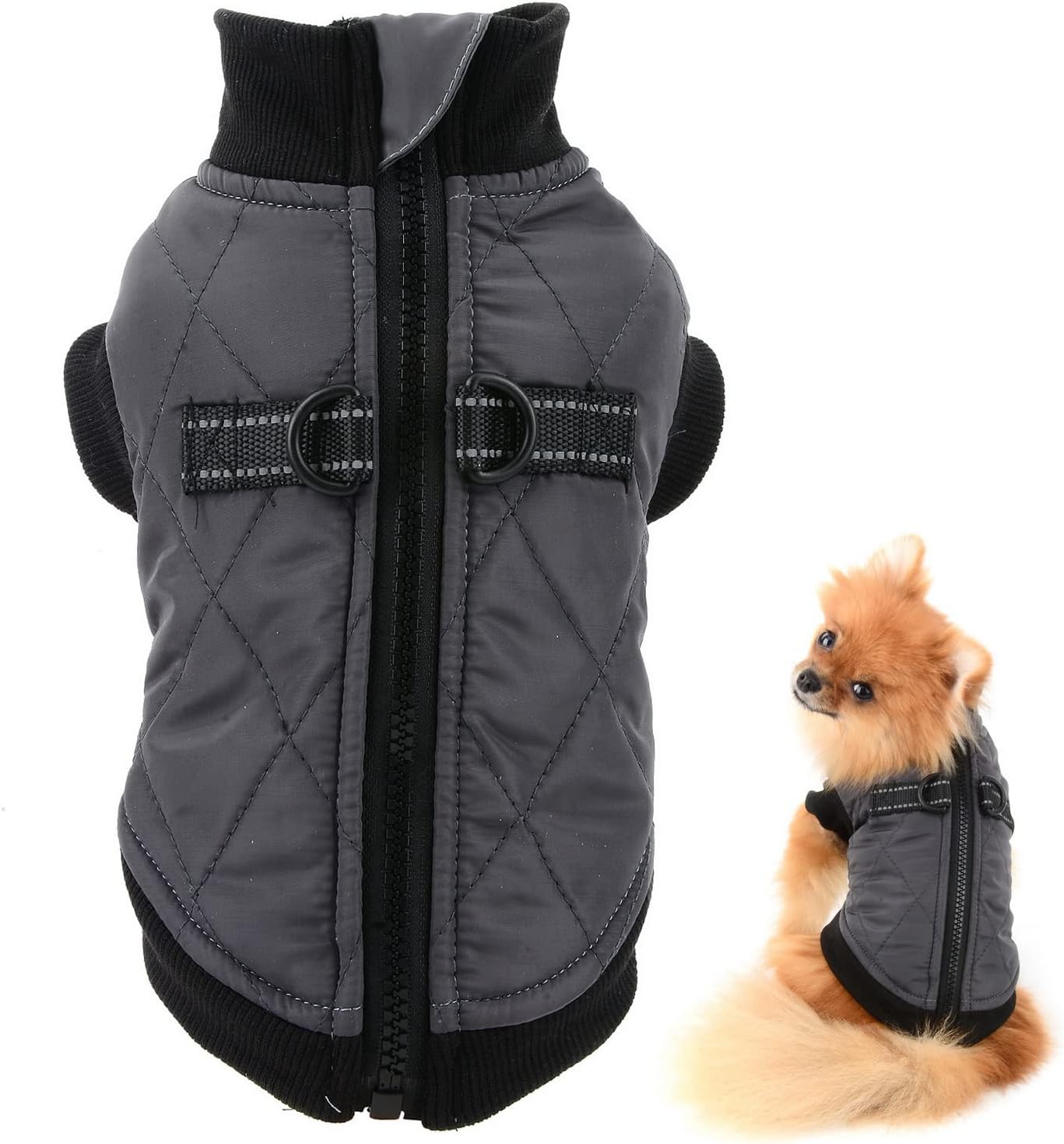 SMALLLEE_LUCKY_STORE Waterproof Jacket for Small Dogs Cats with D-Rings ...