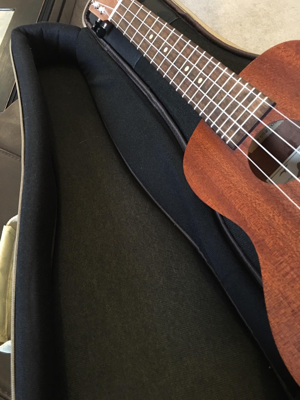 Amazon.com: HOT SEAL Waterproof 20MM Super Thick Ukulele Case Bag with ...