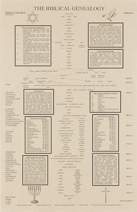 Amazon.com: The Biblical Genealogy Chart, Family Tree from Adam to ...