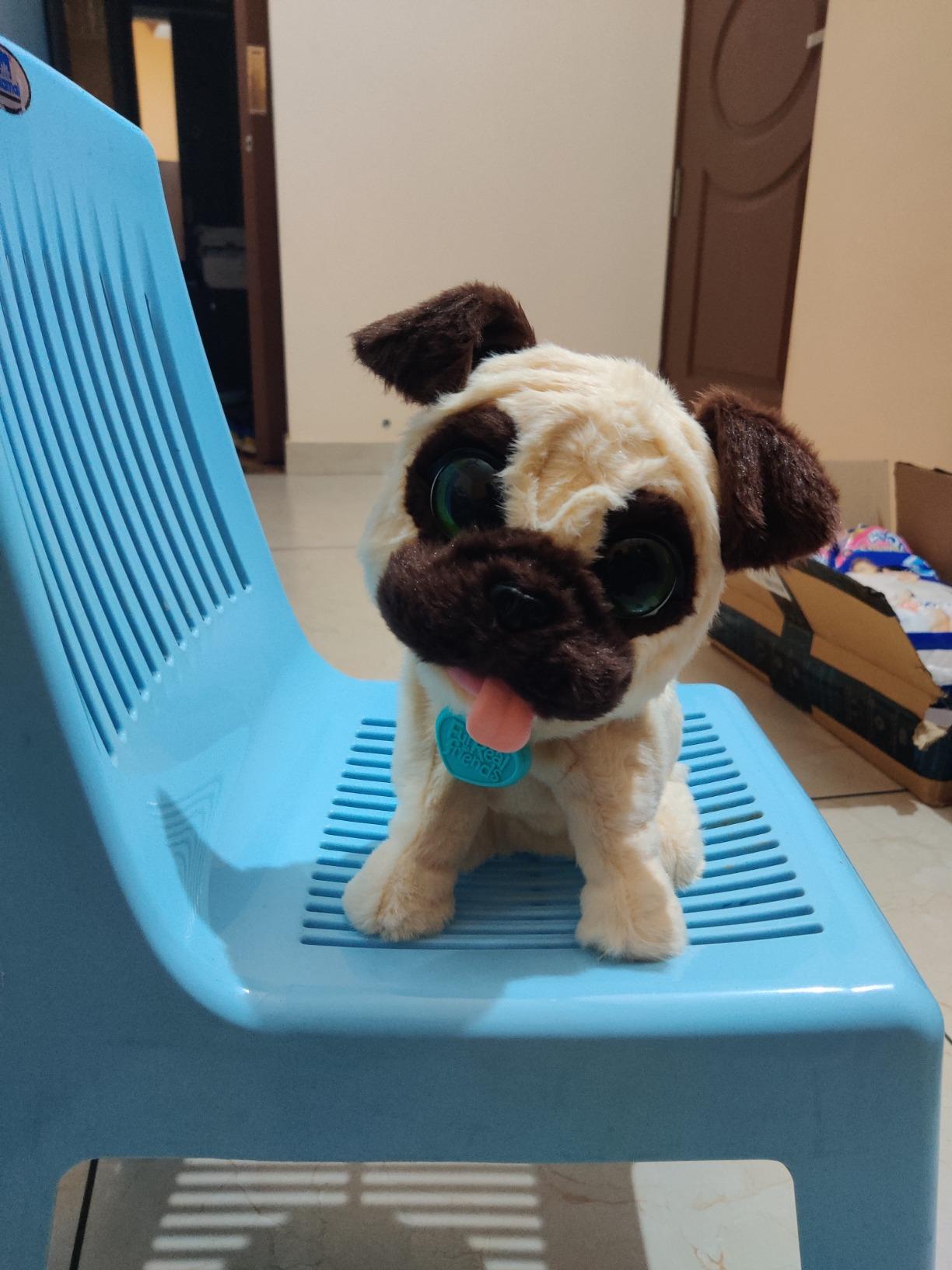 Buy Furreal Friends JJ My Jumping Pug Pet Toy, For Kids Ages 4 Years ...
