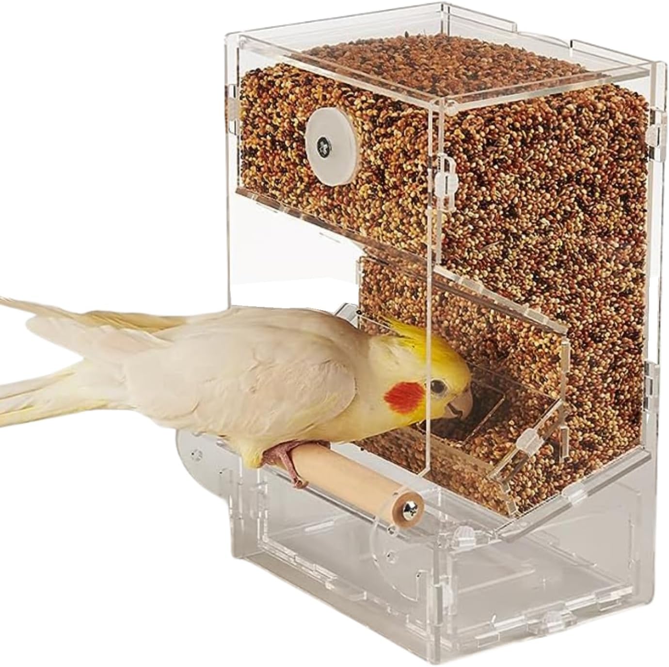 Amazon.com : MANON ROSA Bird Feeder for Cage No Mess Automatic Parrot ...