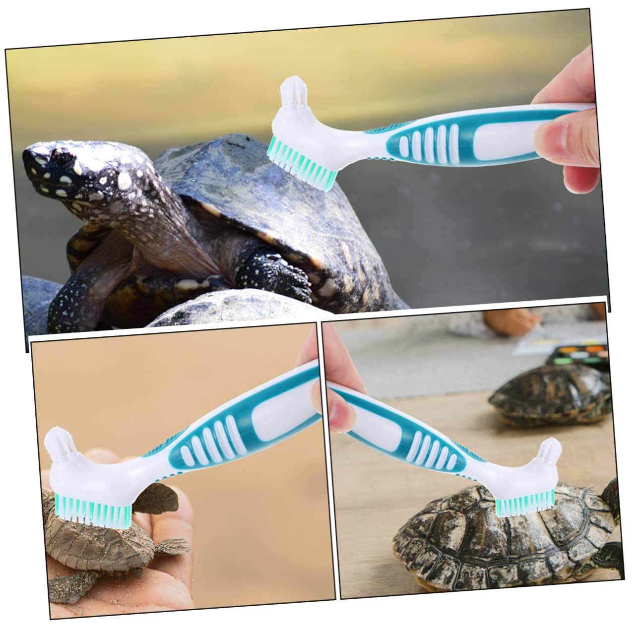 Tortoise Shell Brace