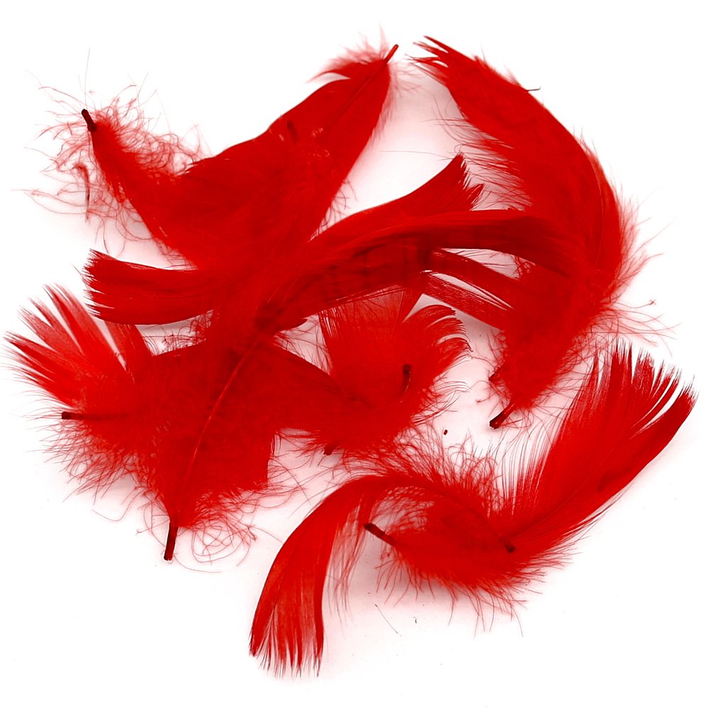 Amazon.de: Federn in Box 15gr. ca. 270 Stück, 5-10cm/ TOP Preis ...