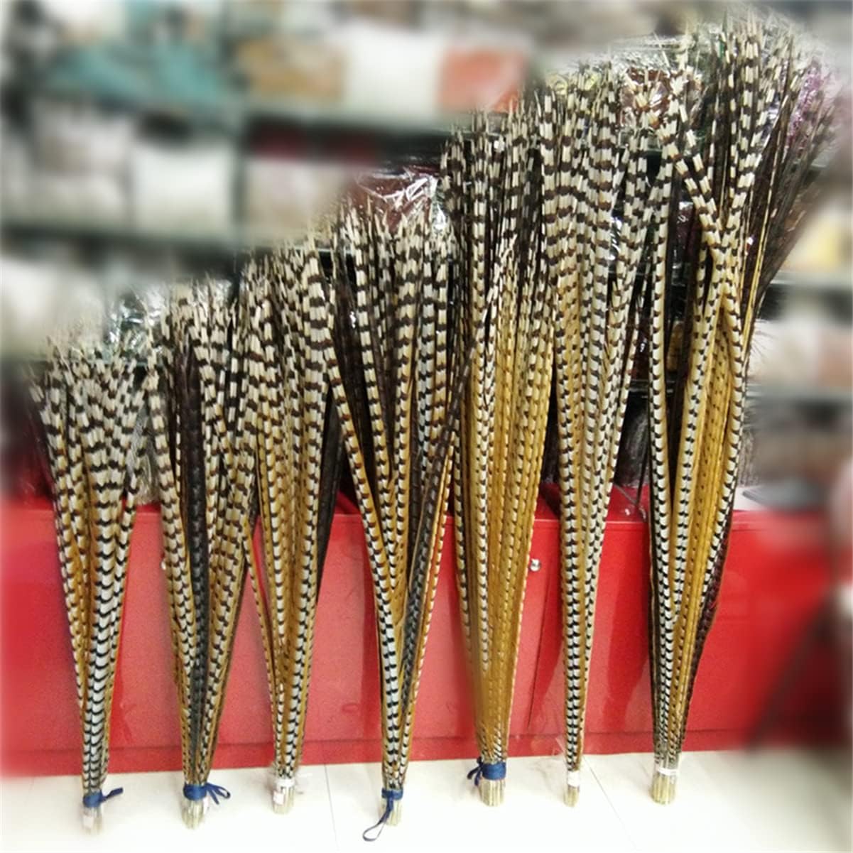 Amazon.com: Natural Pheasant Tail Feathers For Crafts Reeves Venery ...