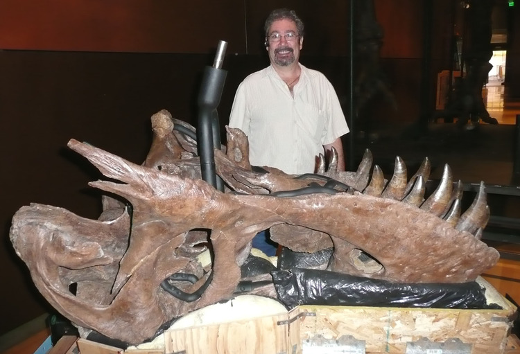 Amazon.com: Joe Iacuzzo: books, biography, latest update