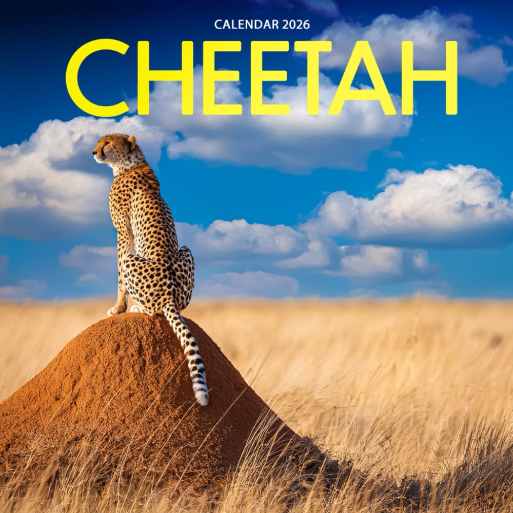 Amazon.com: Cheetah 2026 Calendar: Wildlife Photography of Nature’s ...