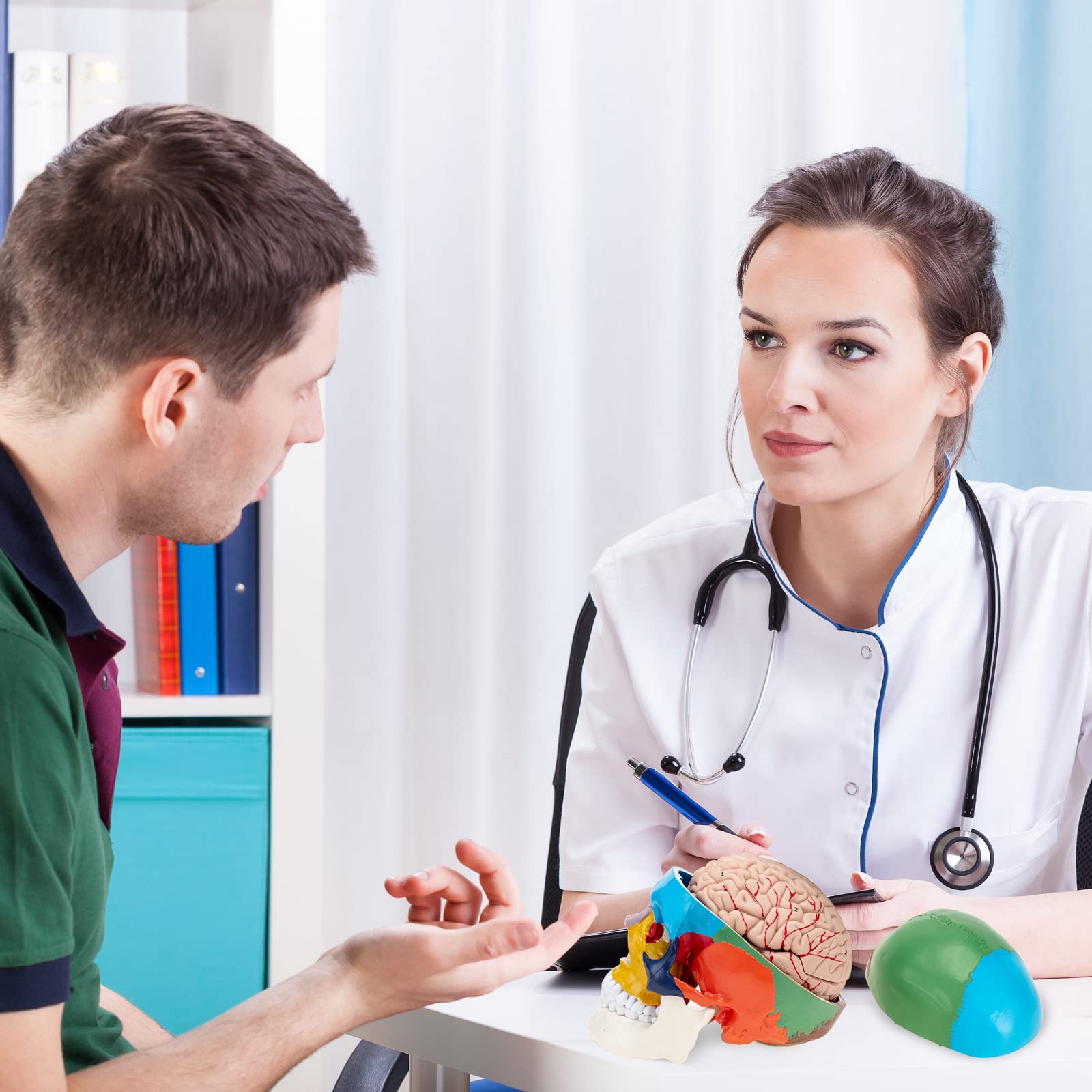 Snapklik.com : Human Skull Model, Detachable Colored Skull And Brain Anatomy Model, Life Size ...