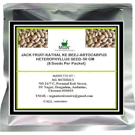 JACK FRUIT-KATHAL KE BEEJ-ARTOCARPUS HETEROPHYLLUS SEED 50 Gm (8 Seeds ...