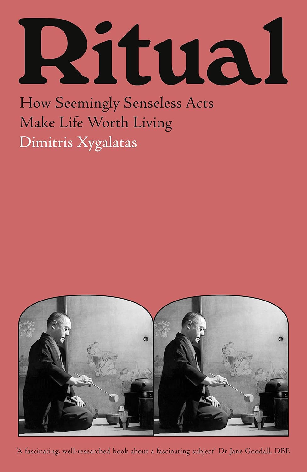Amazon | Ritual: How Seemingly Senseless Acts Make Life Worth Living ...