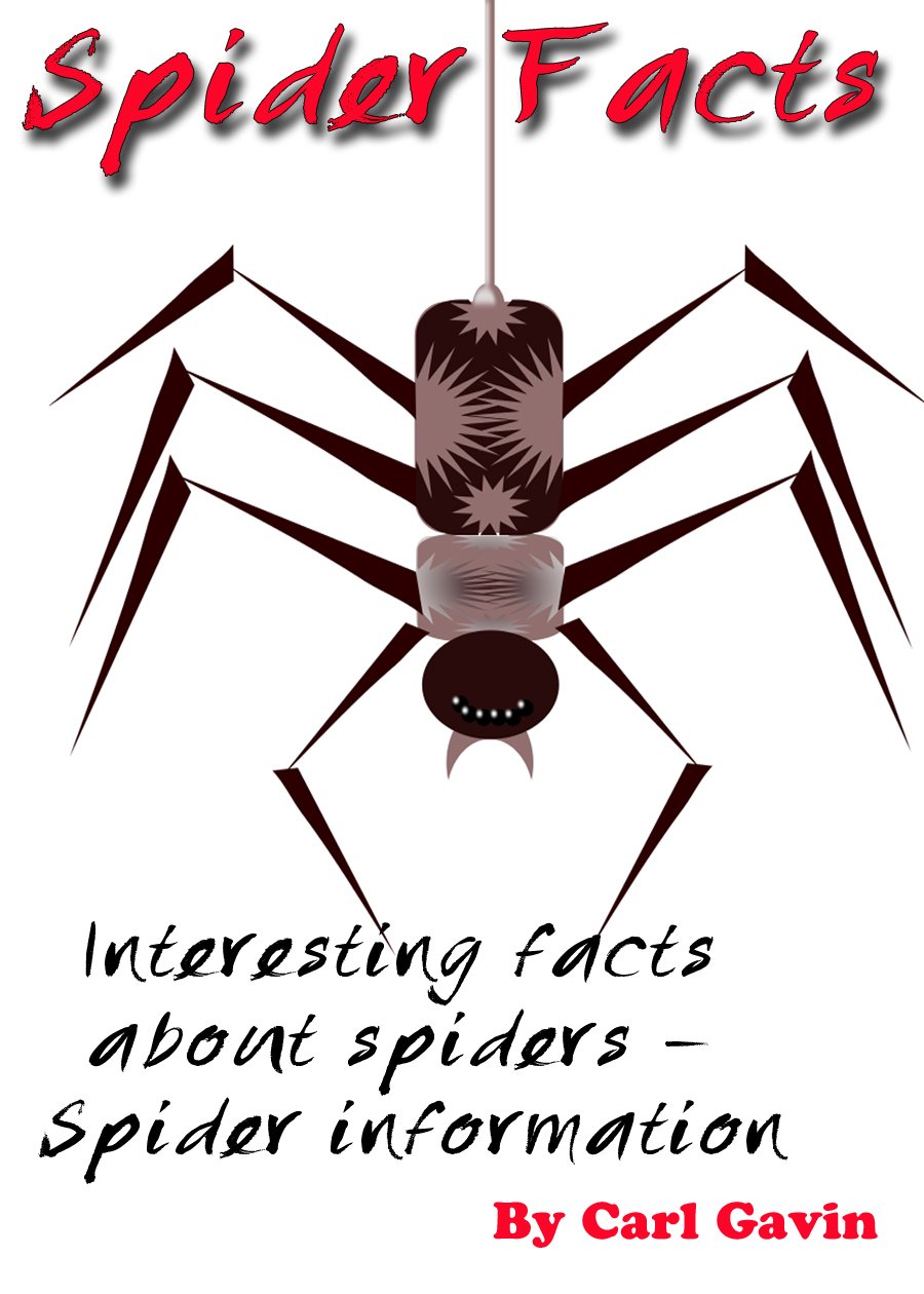 Amazon.co.jp: Spider facts. Interesting facts about spiders - Spider ...