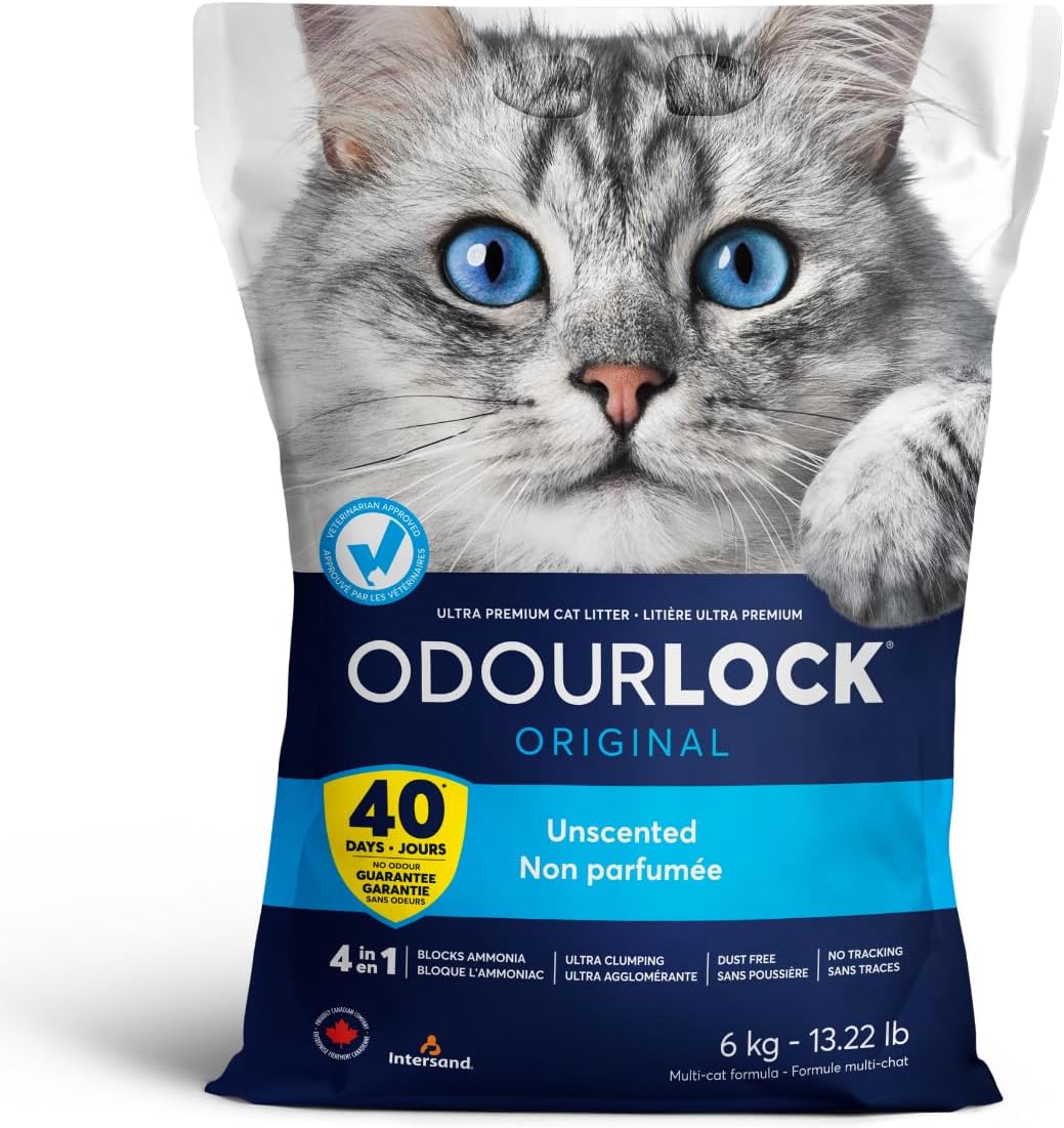 Intersand Odourlock Premium Clumping Cat Litter - 6kg: Buy Online at ...