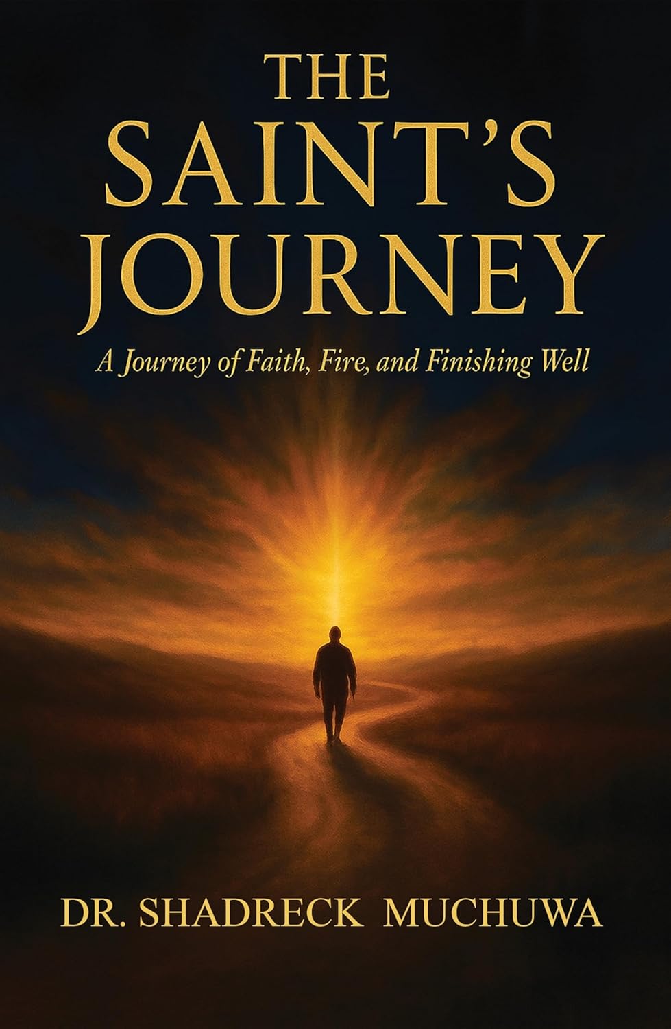 The Saint's Journey (English Edition) eBook : Muchuwa, Shadreck ...