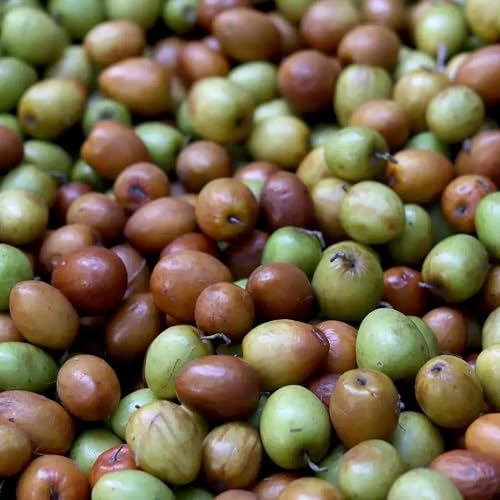 Jujube Seeds Chinese Date Sweet and Slightly Sour Taste Health Benefits ...