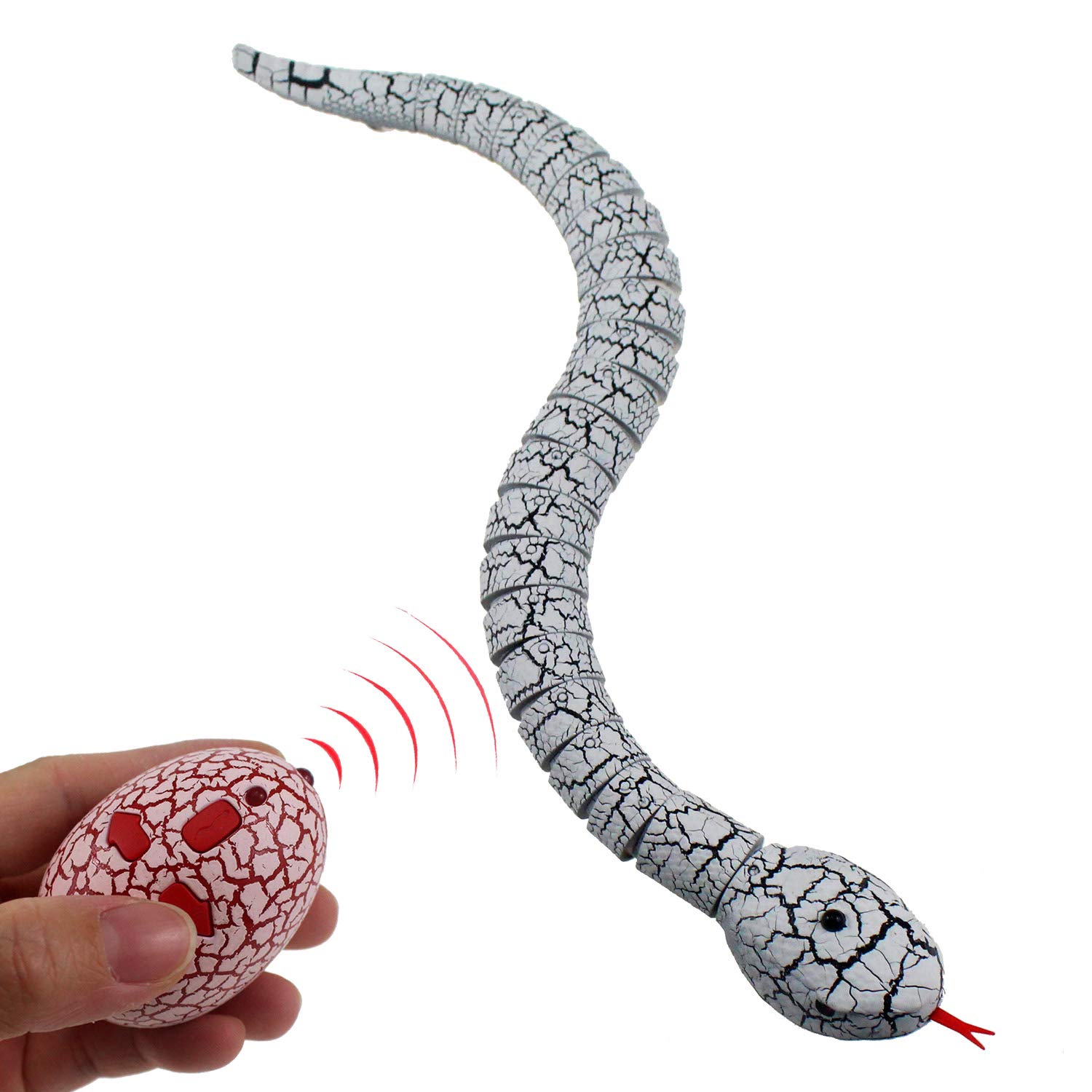 Crawling Animals Snake