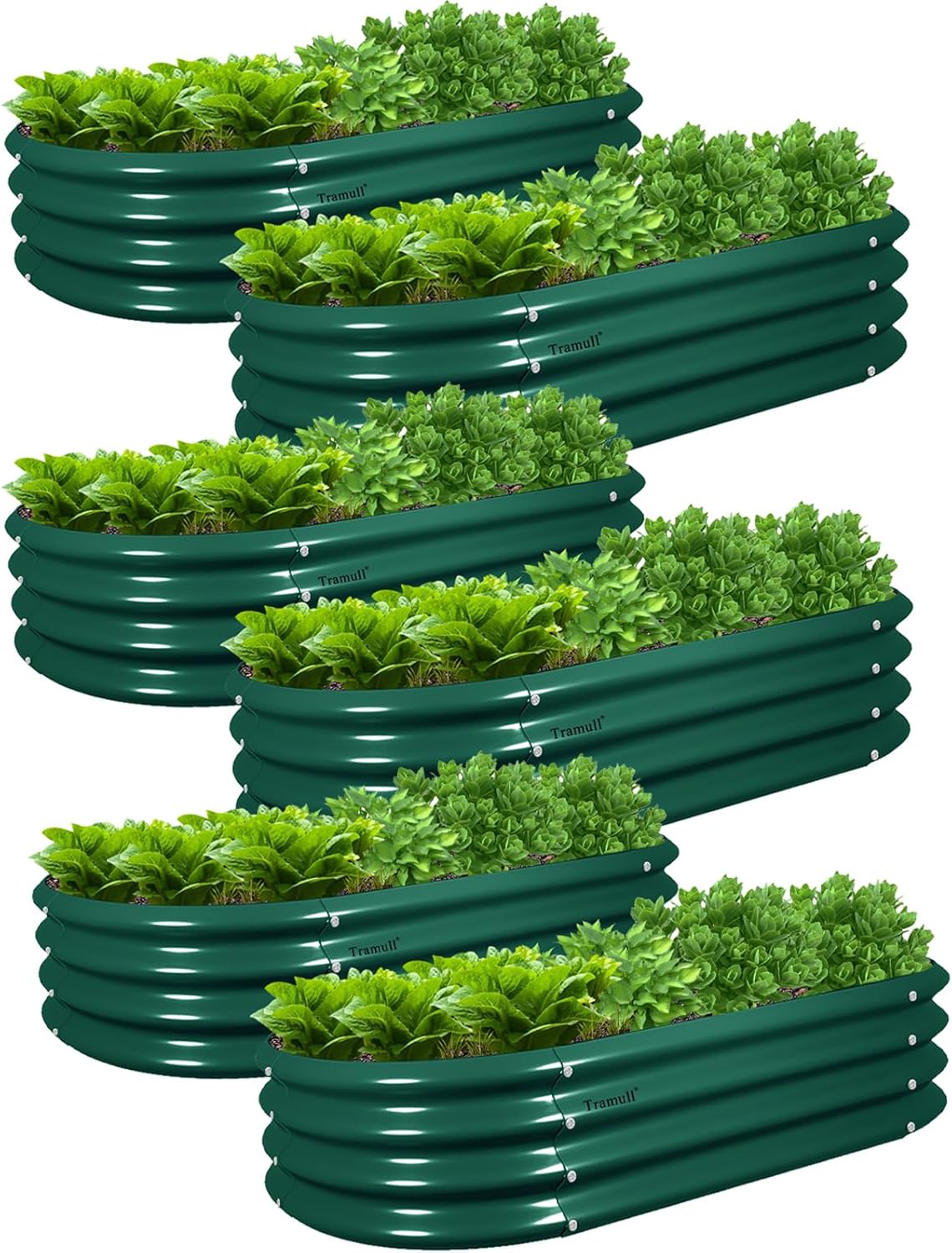 Tramull 6 Pack 4x2x1FT Galvanized Raised Garden Bed Kit Oval Metal ...