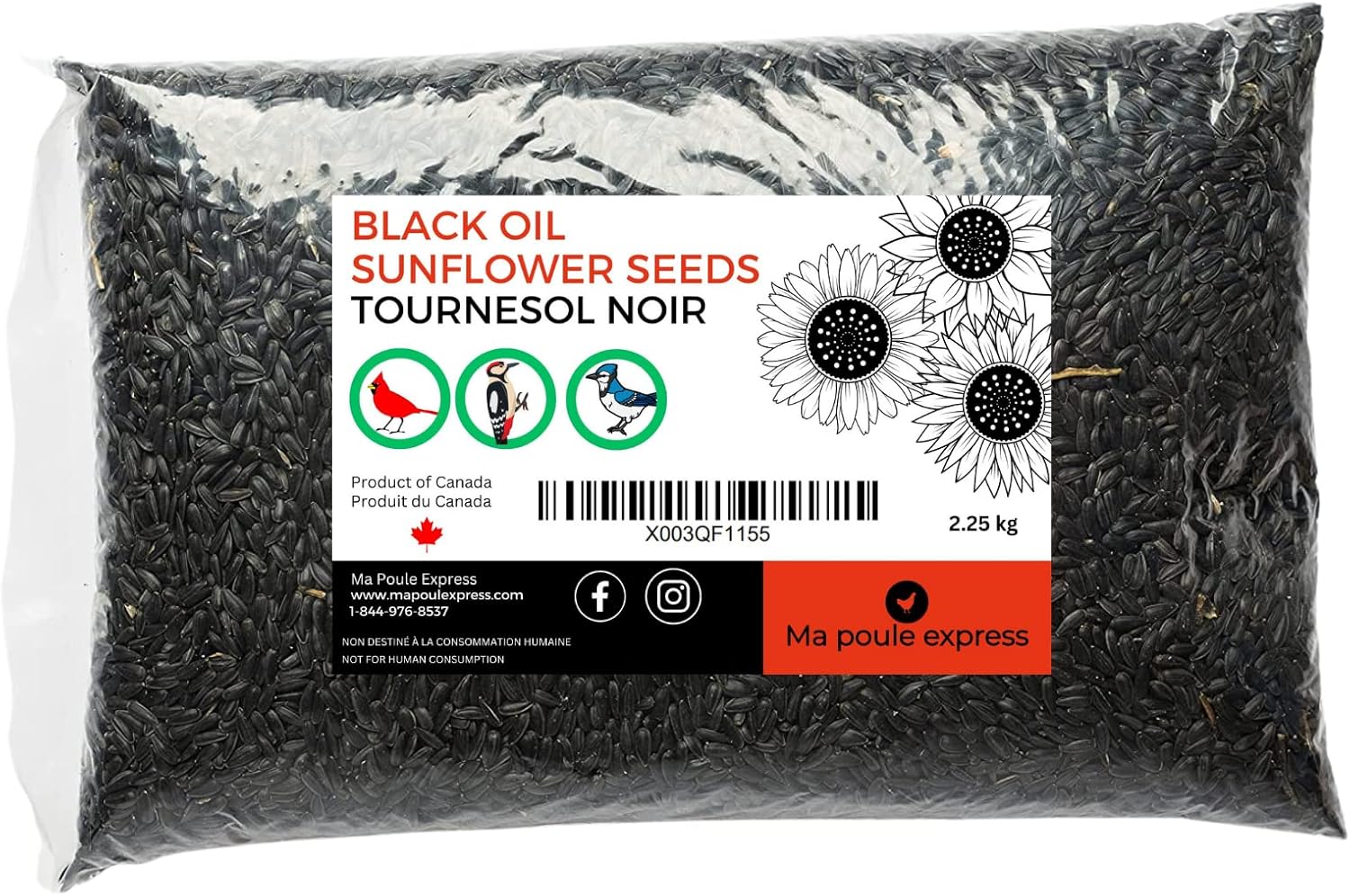 Black Oil Sunflower Seeds for Birds, (5 Pound) : Amazon.ca: Patio, Lawn ...