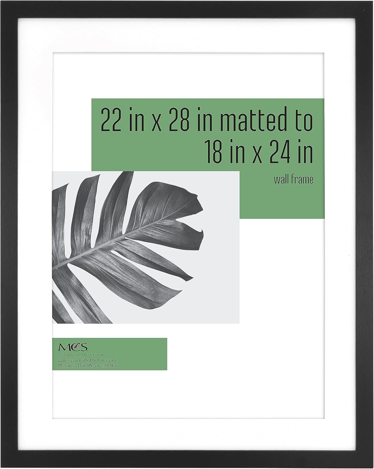 Amazon.com: MCS Studio Gallery 22x28 Matted to 18x24 Poster Frame Black ...