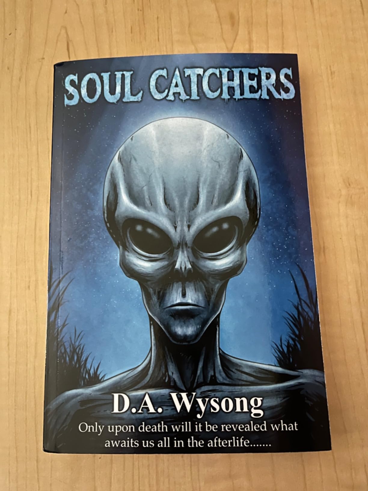 Amazon.com: SOUL CATCHERS eBook : Wysong, D. A.: Kindle Store