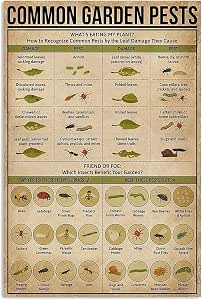 Amazon.com: Common Garden Pests Metal Tin Signs Planting Knowledge ...