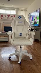 Amazon.com: Sonic the Hedgehog Gaming Chair - Premium PU Leather ...