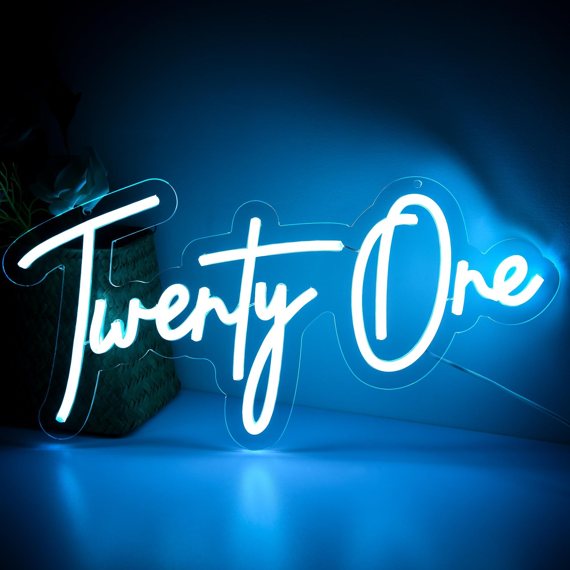 Amazon.com : Twenty One, Wild One, Pink Sweet 16 LED Light Sign for ...