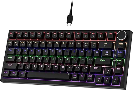Newmen GM326 Mechanical Keyboard,Wired Gaming Keyboard,75% Percent TKL ...