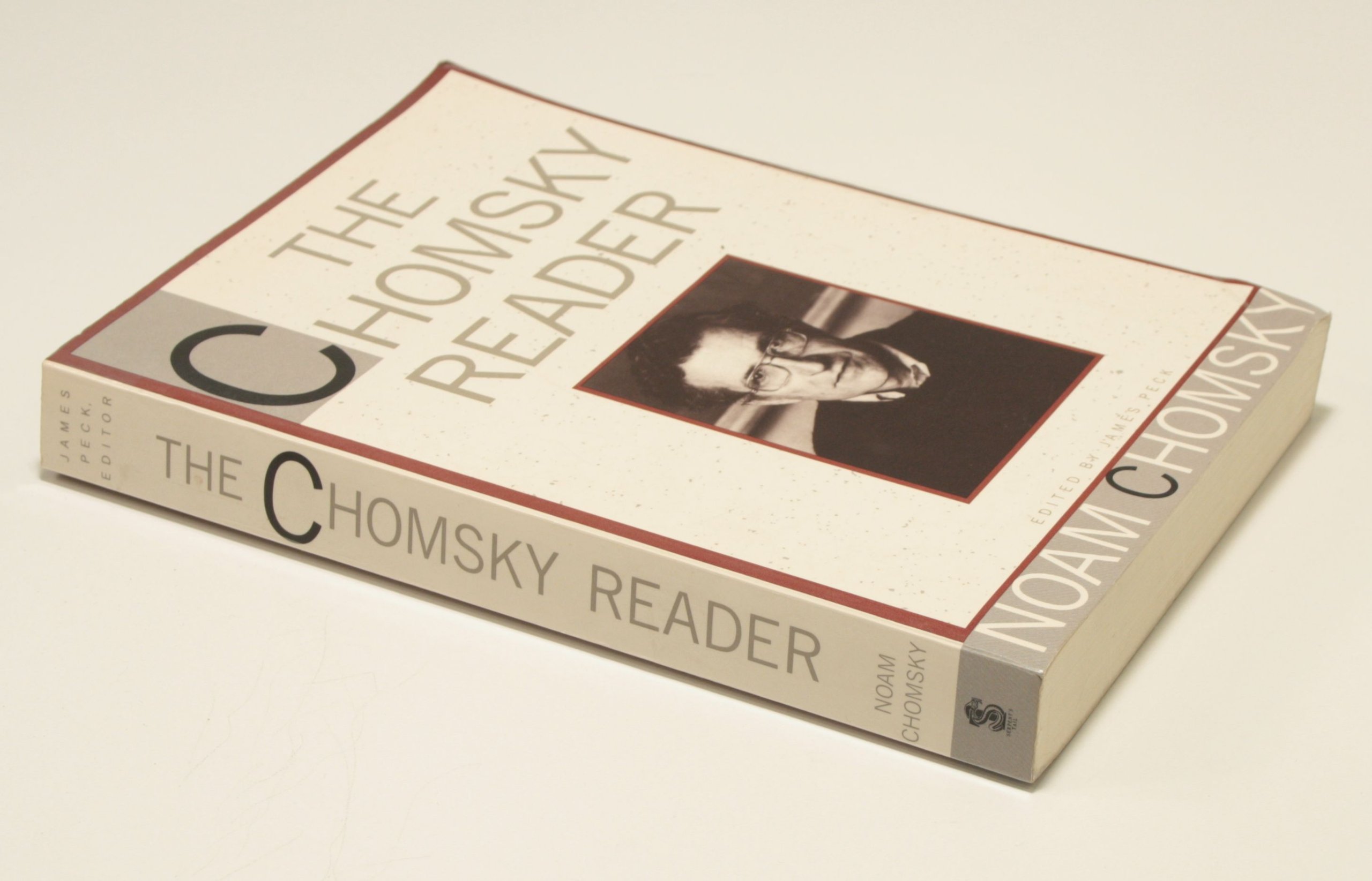The Chomsky Reader: Noam Chomsky: 9781852421175: Amazon.com: Books