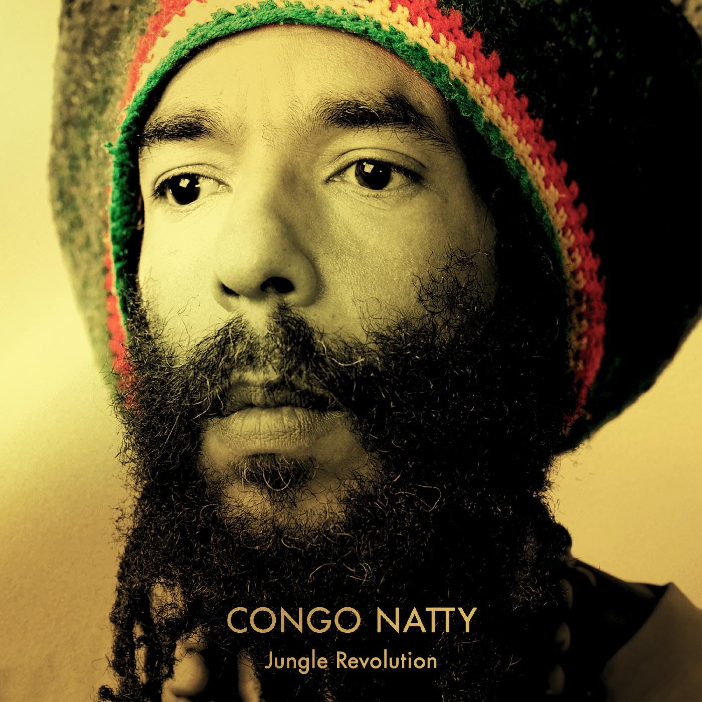 Congo Natty - Jungle Revolution (YELLOW & GREEN VINYL) - Amazon.com Music