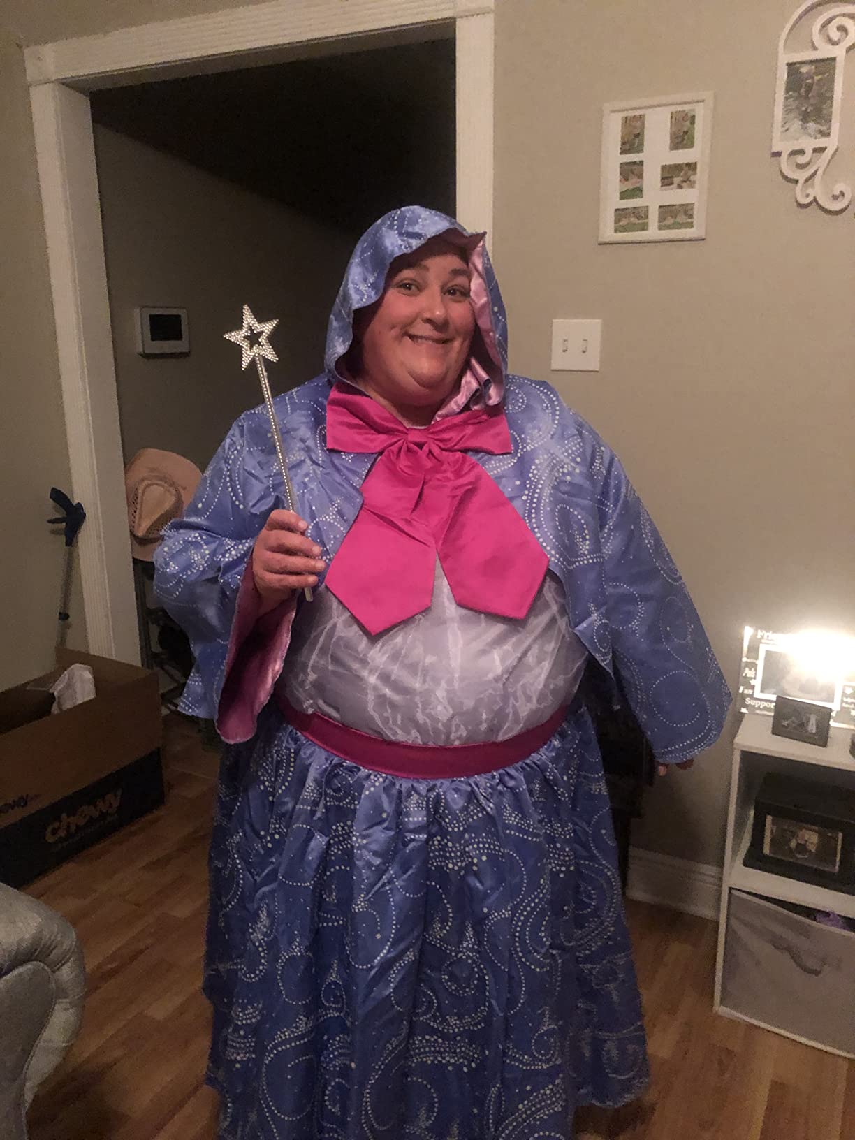 $14/mo - Finance Plus Size Fairy Godmother Costume Adult Cinderella ...
