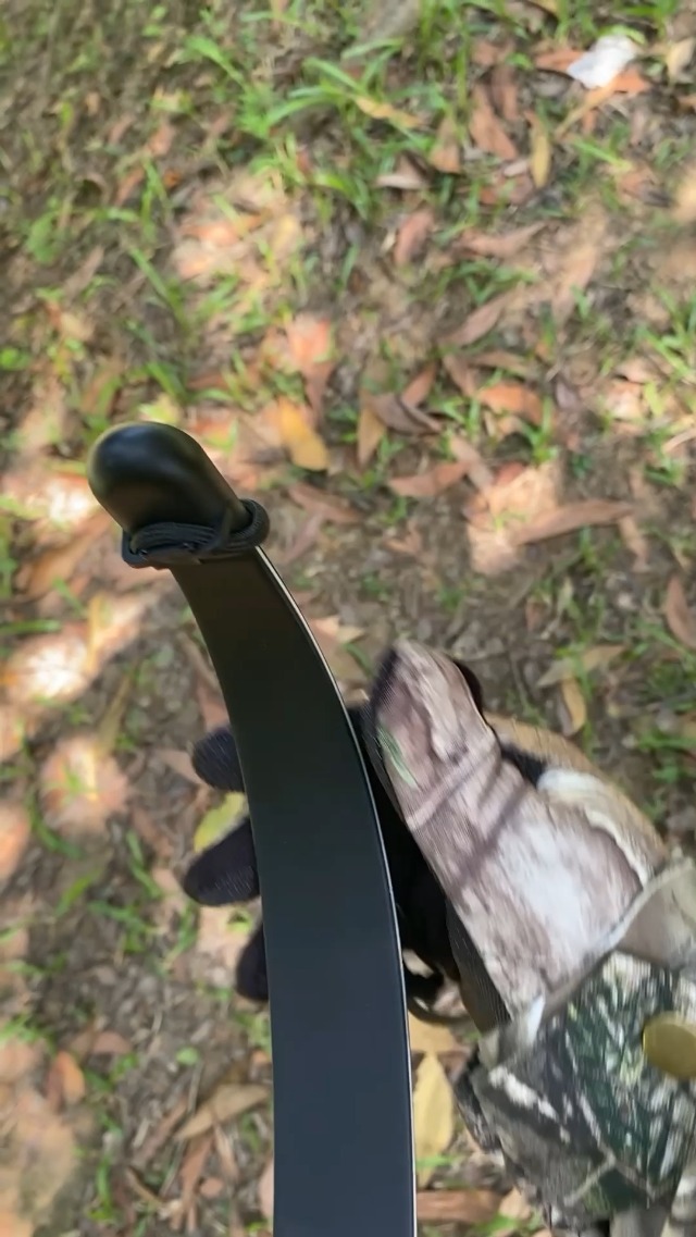 Watch BOSEN BOWS Foam core Limbs Recurve Bow Riser Hunting Bow on ...