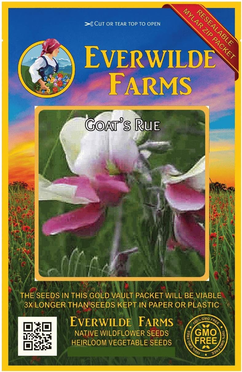 Amazon.com : Everwilde Farms - 30 Goat's Rue Native Wildflower Seeds ...