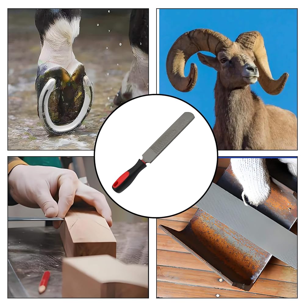 Bueyfolt 12 Inch Hoof Rasp, Horseshoe Trimming Tool Philippines | Ubuy