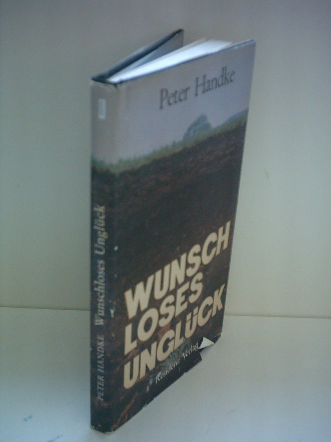 Peter Handke: Wunschloses Unglück : Amazon.de: Bücher