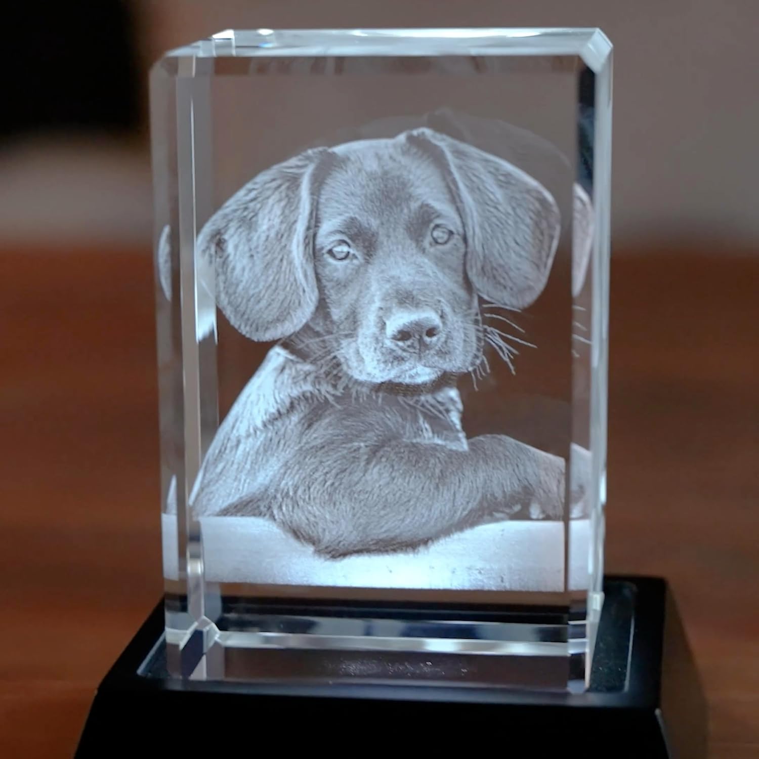 Amazon.com: MASTERPICS 3D 3D Photo Crystal Rectangle - Personalized ...