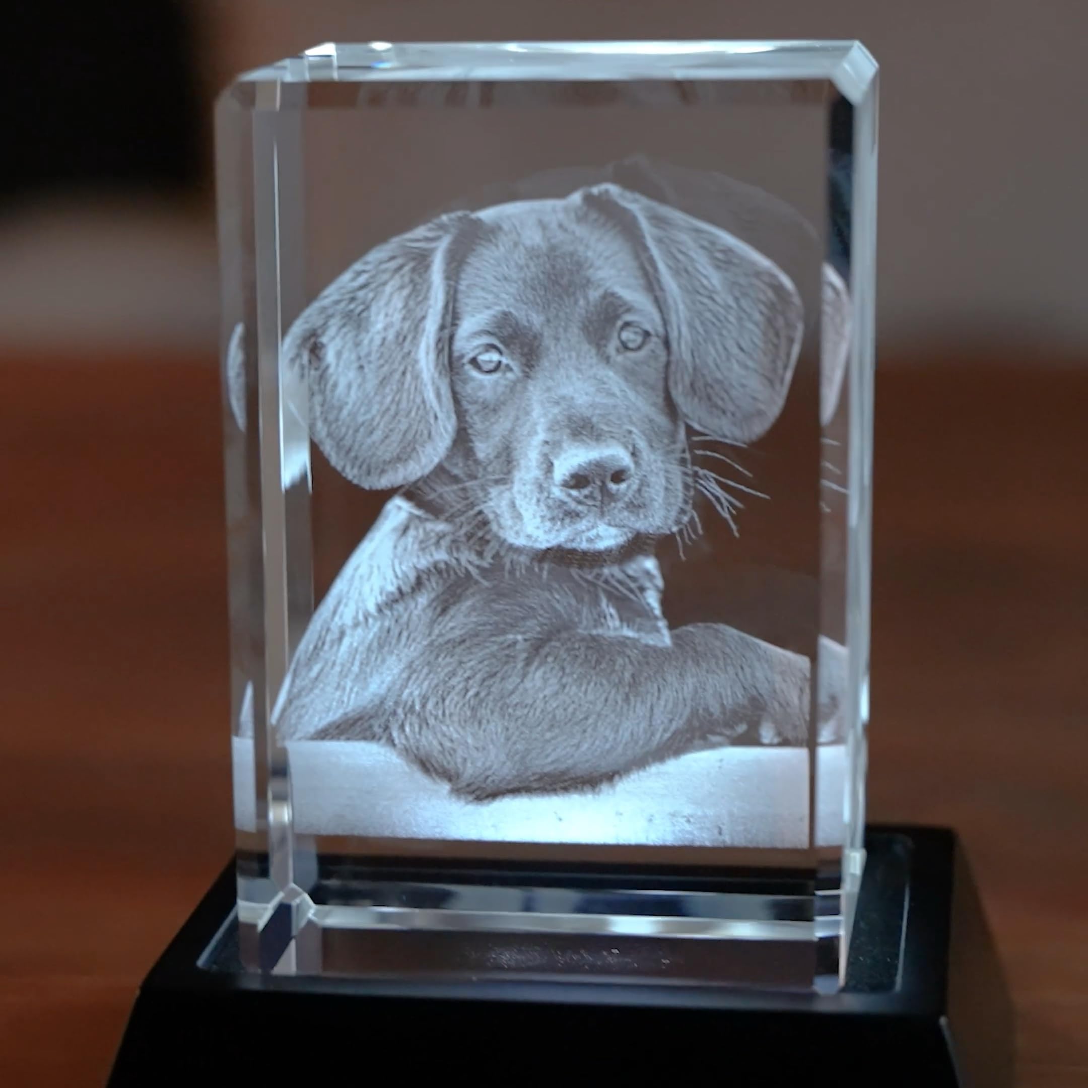 Amazon.com: MASTERPICS 3D 3D Photo Crystal Rectangle - Personalized ...