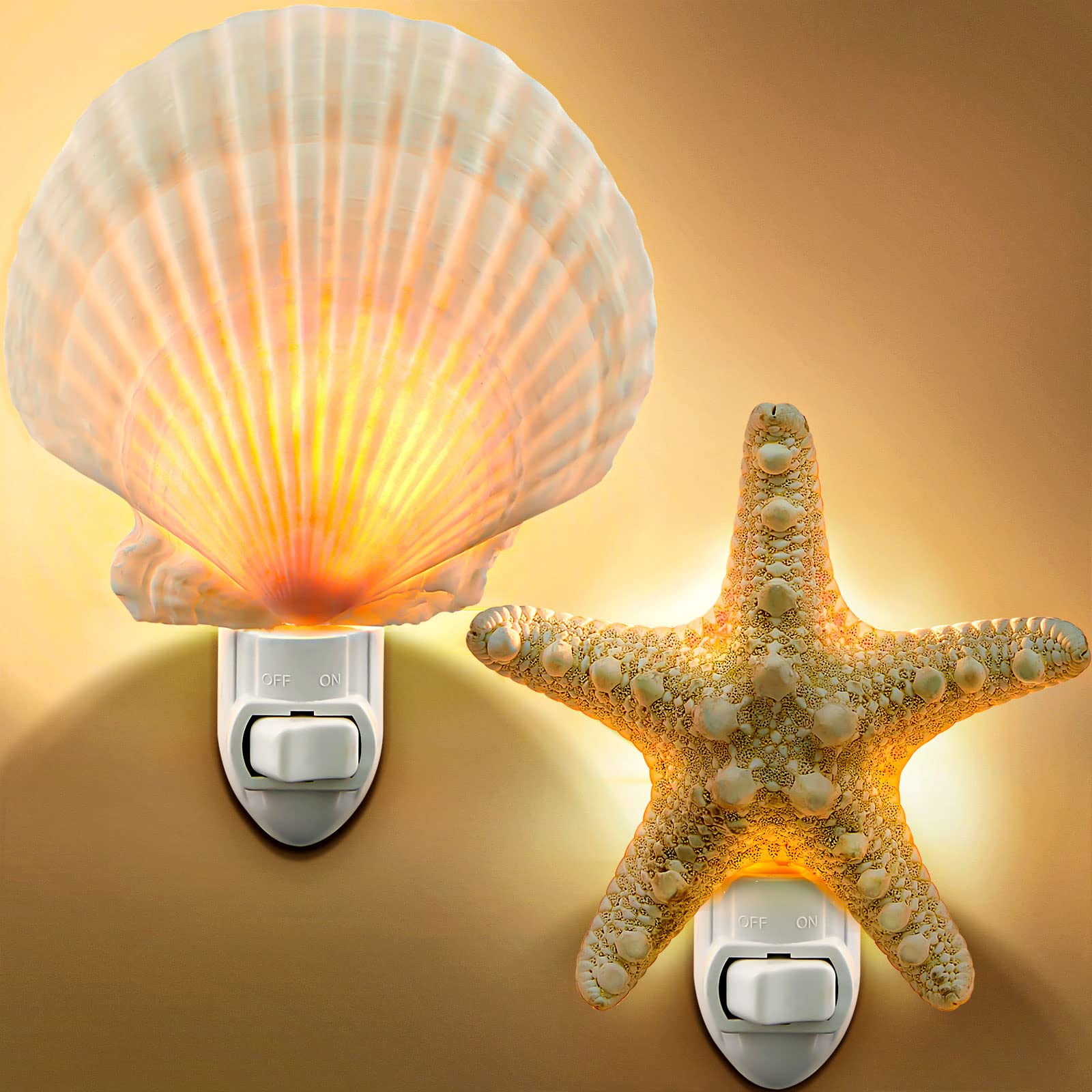 Seashell light 2025