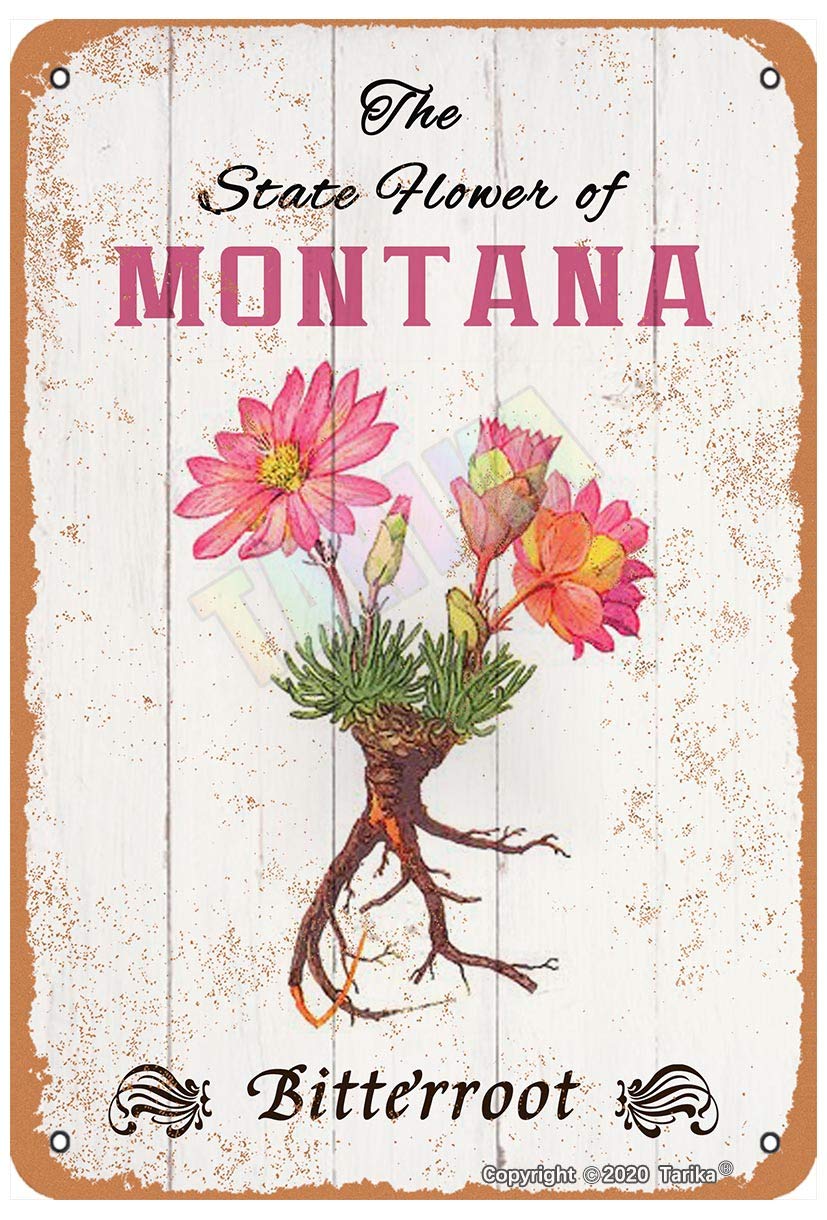 Montanas State Flower
