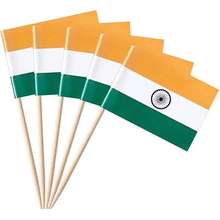 Amazon.com | India Flag Indian Small Toothpick Mini Stick Flags ...