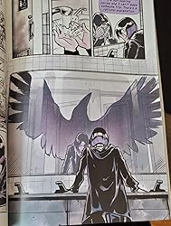 Amazon.com: Teen Titans Raven: 9781779507273: Garcia, Kami, Picolo ...