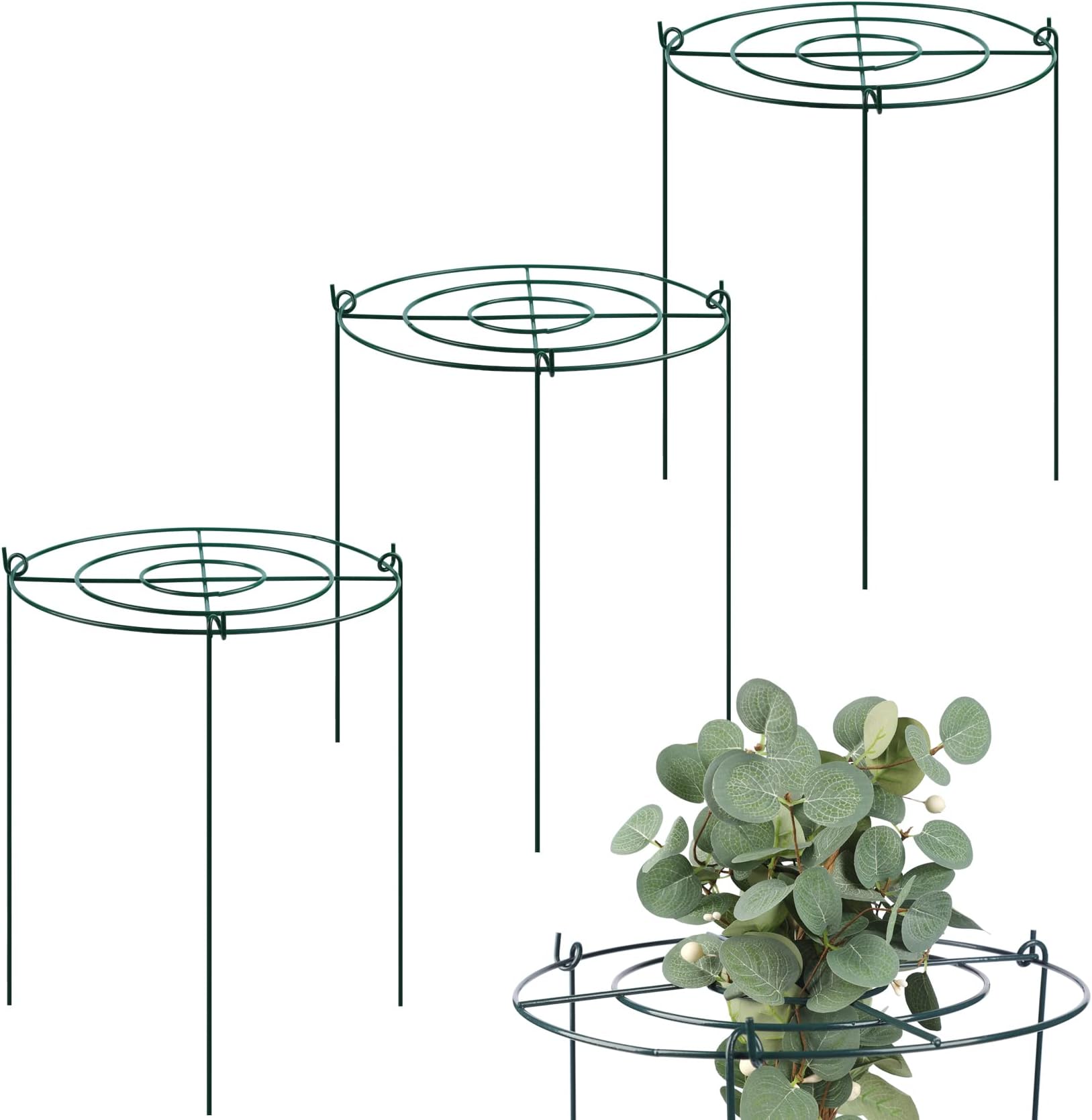Amazon.com : JJZJ 24 Inches Peony Cages and Supports Grow Through Plant ...