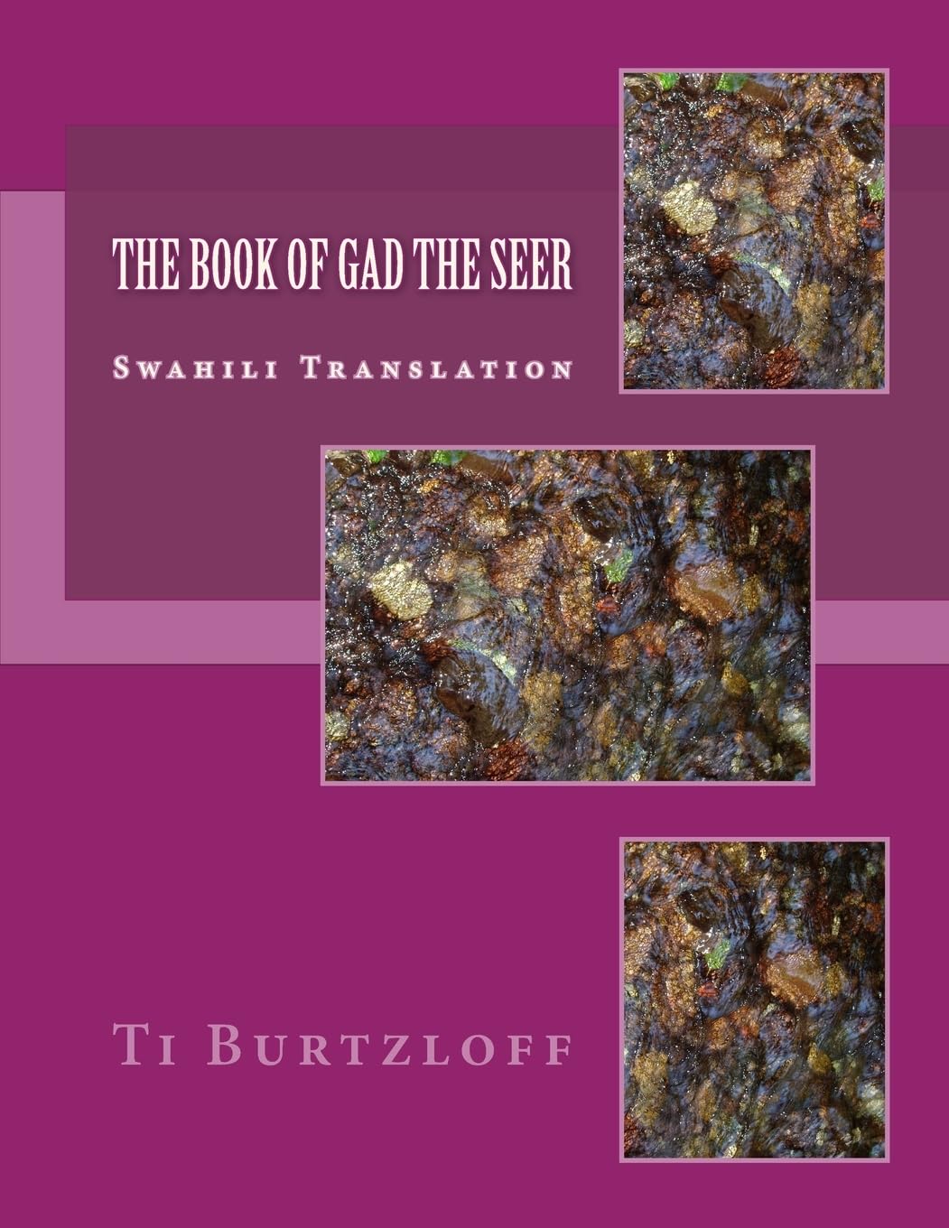 The Book of Gad the Seer: Swahili Translation (Swahili Edition ...