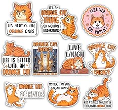 Amazon.com: Orange Cat Sticker