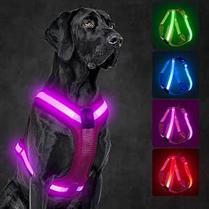 Amazon.com : KOSKILL Light Up Dog Harness,Led Dog Harness Rechargeable ...