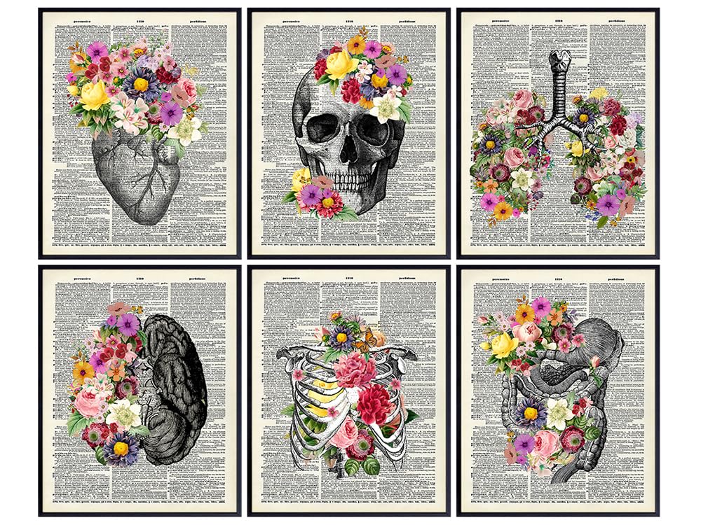 Amazon.com: Vintage Human anatomy Poster Set LARGE 11x14 - Floral Wall ...