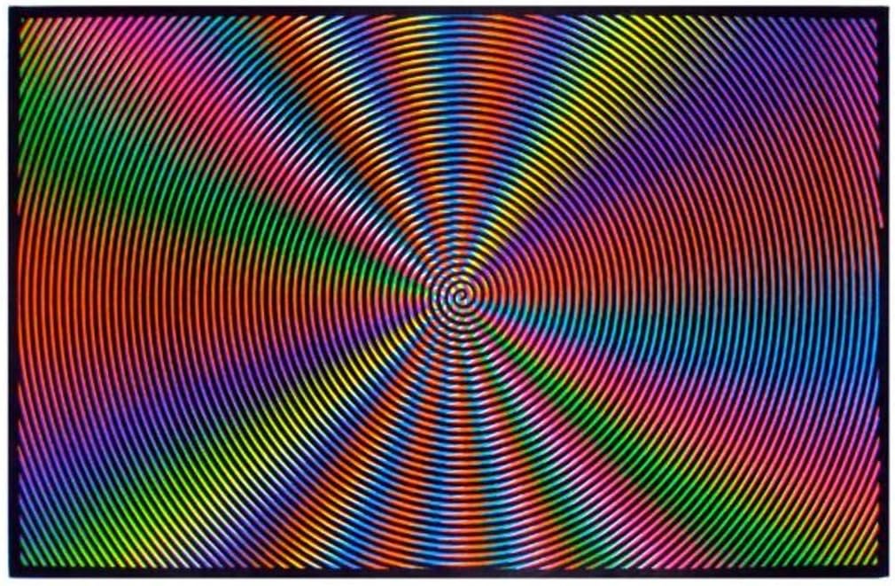 Amazon.com: Trends International Zebra Stripe Optical Illusion Wall ...