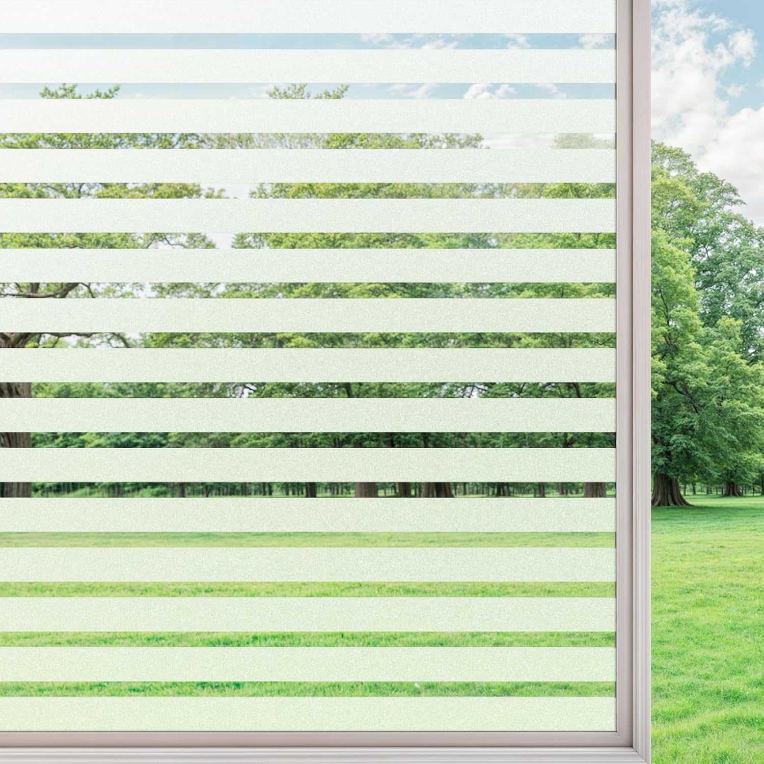 DARUITE Window Film Privacy Film for Glass Windows, 30x200cm Medium ...