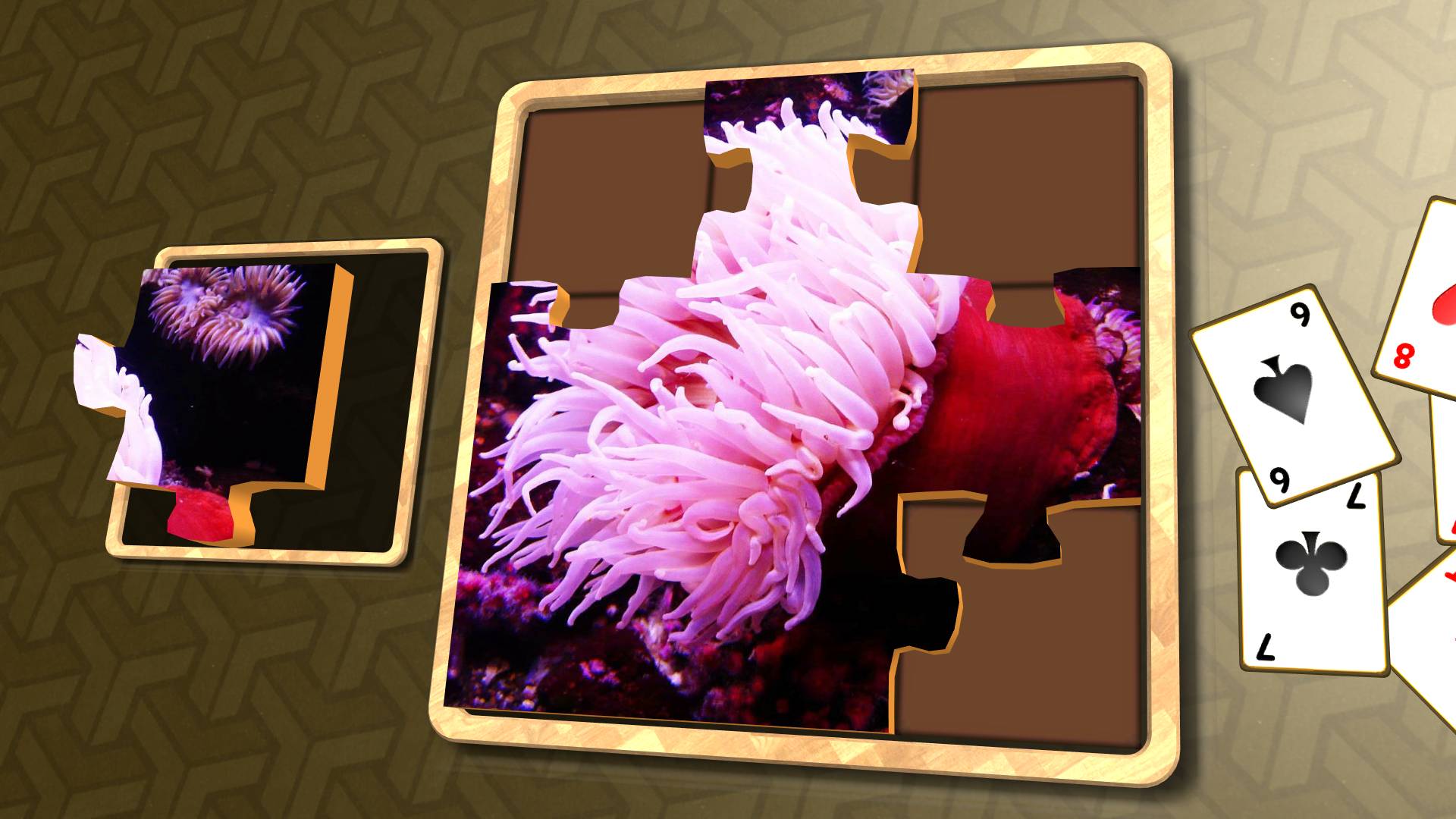 Jigsaw Solitaire Marine Life TV - App on Amazon Appstore