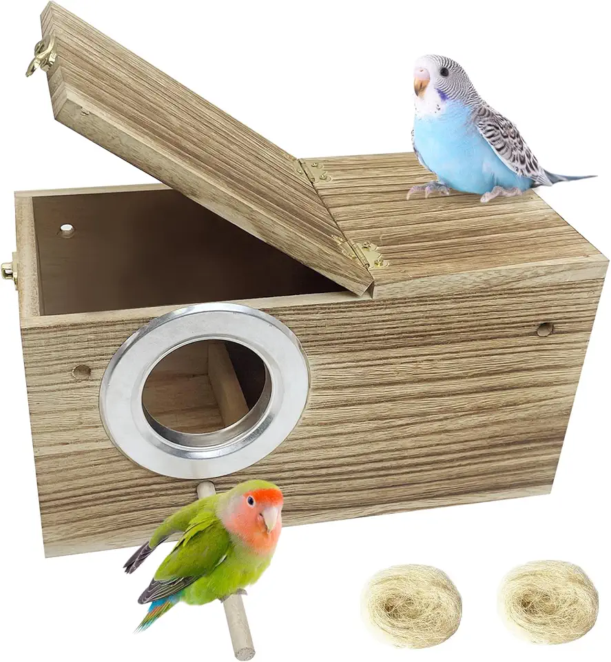 The Ultimate Guide To Breeding Budgies For Beginners | PetShun