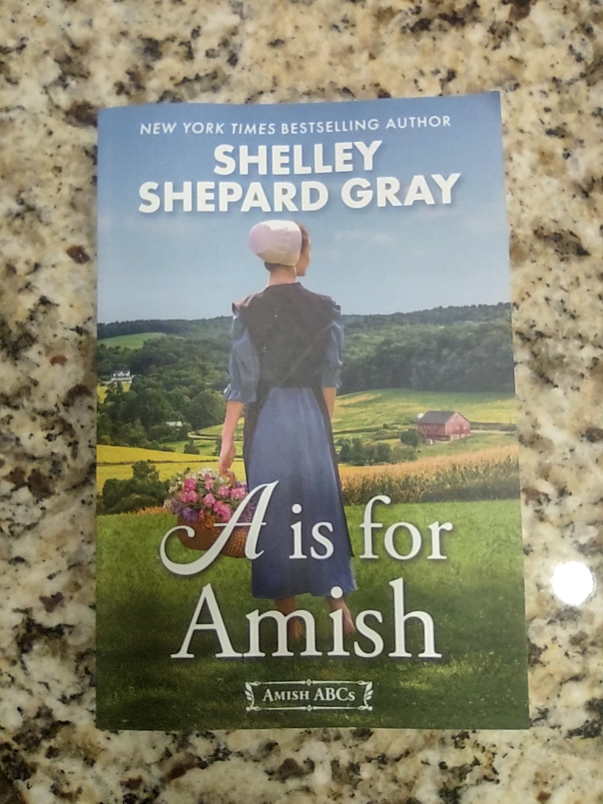 A Is for Amish (Amish ABCs Book 1) - Kindle edition by Gray, Shelley ...