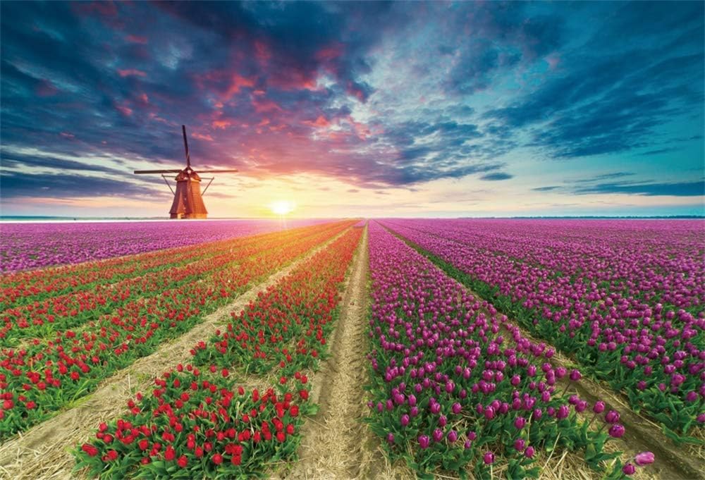 Amazon.com : AOFOTO 10x7ft Windmill Backdrop Spring Sunrise Netherlands ...